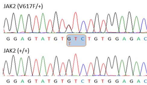 JAK2 V617F Reference Standard, 50%