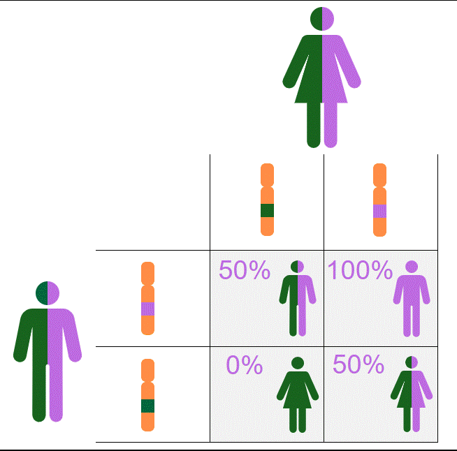 What Are The Main Differences Between Germline And Somatic Reference